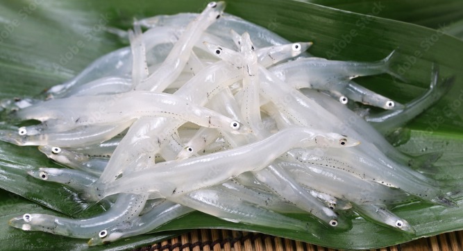 SHIRAO (SILVER FISH) (200G/PKT) — STS Grocer